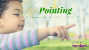 Pointing Things Out • Tandem Speech Therapy, Austin, TX