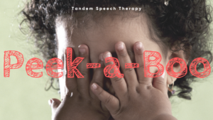 Let's Play Peek-a-Boo • Tandem Speech Therapy, Austin, TX