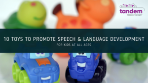 Toys to Promote Speech & Language Development • Austin, TX