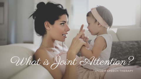 Joint Attention • Tandem Speech Therapy, Austin, TX